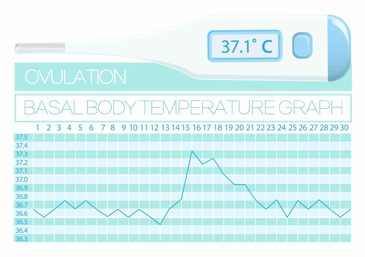 How Long Does Ovulation Last? | 5 Main Signs And Symptoms